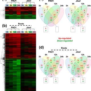 Heat Map Of Hierarchical Clustering Analysis Of Differentially Download Scientific Diagram