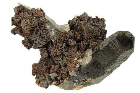3 Hematite Pseudomorph After Siderite On Smoky Quartz Colorado