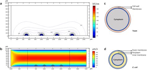 A A Contour Plot Of The Electric Field Distribution Around The Point