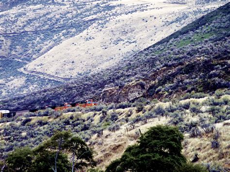 Photos Keith Mccafferty