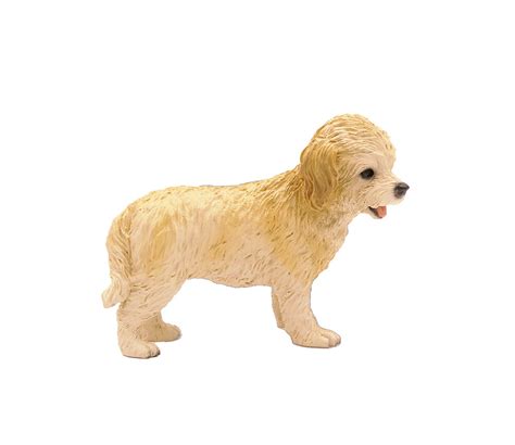 Cockapoo Blonde Pet Cremations Of Western Carolina