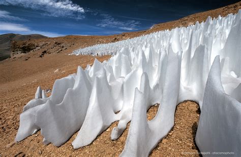 Penitentes
