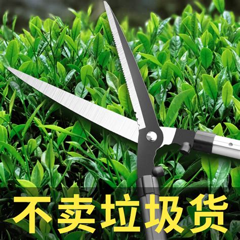 剪刀修枝剪绿化修剪树枝修花剪花专用花卉花枝花草园艺大剪刀园林虎窝淘 剪刀修枝剪绿化修剪树枝修花剪花专用花卉花枝花草园艺大剪刀园林虎窝淘