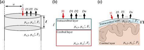 optimizing a two layer method for hybrid diffuse correlation
