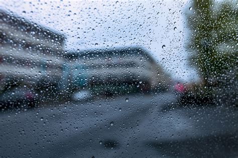 Ted Devine Author Biography Entrepreneur