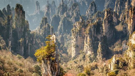 Zhangjiajie National Forest Park China 1280x720