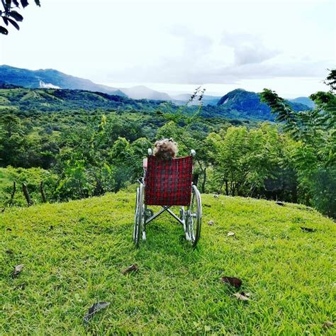 Gracen Wallace Project