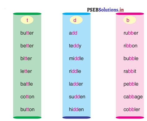 Pseb 3rd Class English Solutions Chapter 2 Visit To A Park Pseb Solutions