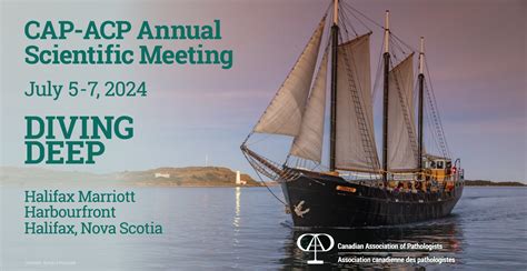 Cap Acp Halifax Annual Meeting Research Poster Paper Fabric Posterandsign