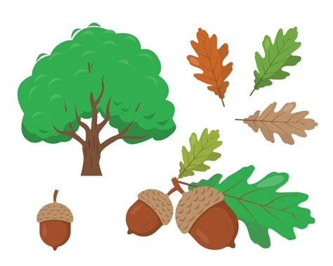 Oak Tree Leaves Clip Art