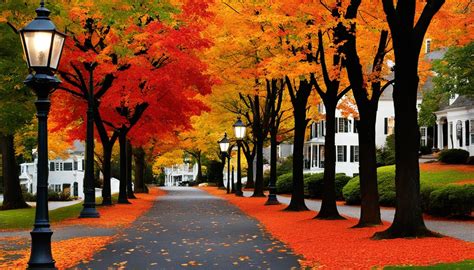 Experience Fall Foliage In Salem Best Times And Spots