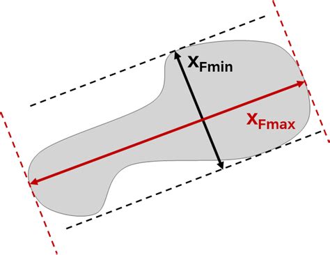 Dynamic Image Analysis Principles Data Quality And Applications