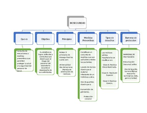 Biologia Organizador Visual Bioseguridad Que Es Conjunto De Mecanismos Y Medidas Preventivas