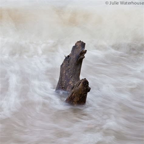 Subject Photography Tips