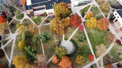 Campus Colors