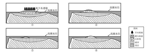 灰沙岛是由风浪打碎的松散珊瑚碎屑、贝壳碎屑等堆积在 高途