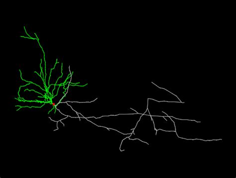 Detailed Cell Information 030909s1cell4