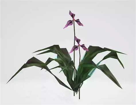 Adders Tongue Free Vr Ar Low Poly 3d Model Cgtrader