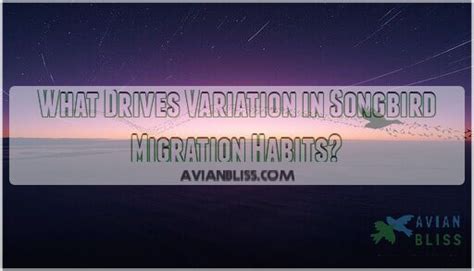 What Drives Variation In Songbird Migration Habits