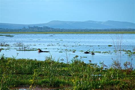 The Great Rift Valley Lakes Of Kenya Features Africa