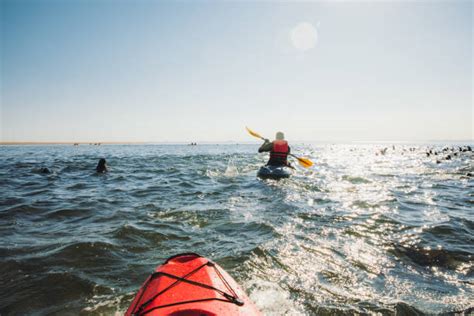 3 500 Walvis Bay Foto Stok Potret And Gambar Bebas Royalti Istock