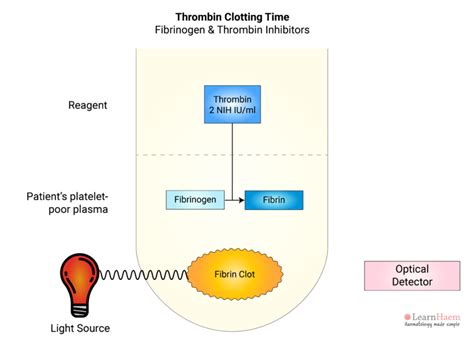 Thrombin Time Tt Learnhaem Haematology Made Simple