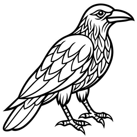 A Black And White Drawing Of A Raven 51457731 Vector Art At Vecteezy