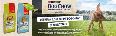 Зоотовары, товары для животных. Зоомагазин Рыжий Кот