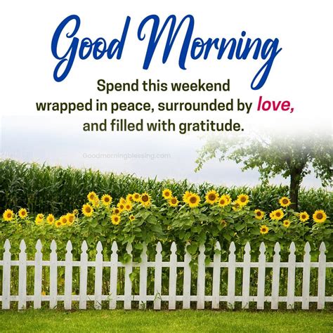 150 Happy Weekend Quotes Wishes Updated For 2026