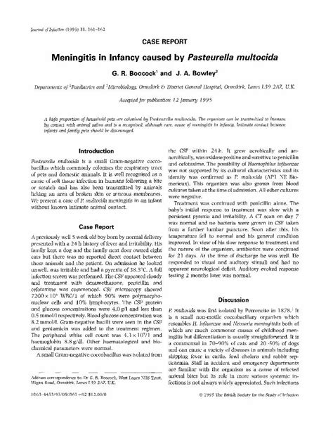 Pdf Meningitis In Infancy Caused By Pasteurella Multocida Dokumentips