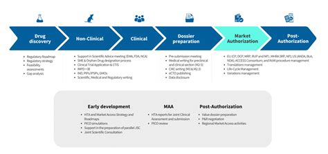 Health Technology Assessment Regulation Hta Service