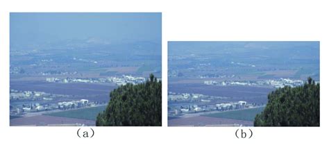 Schechners Initial Polarization Image And Processed Image Without Sky Download Scientific