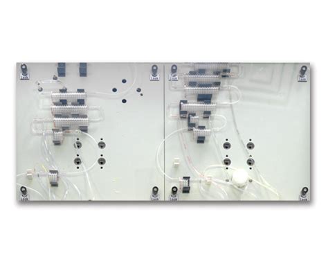 Quaatro39 Continuous Segmented Flow Analyzer
