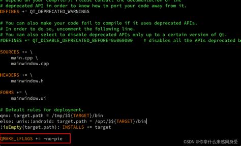 Ubuntu2004下qt没有生成可执行文件或者可执行文件打不开qt编译找不到可执行文件 Csdn博客