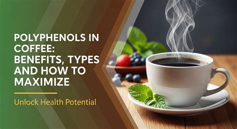 Polyphenols In Coffee Benefits Types And How To Maximize
