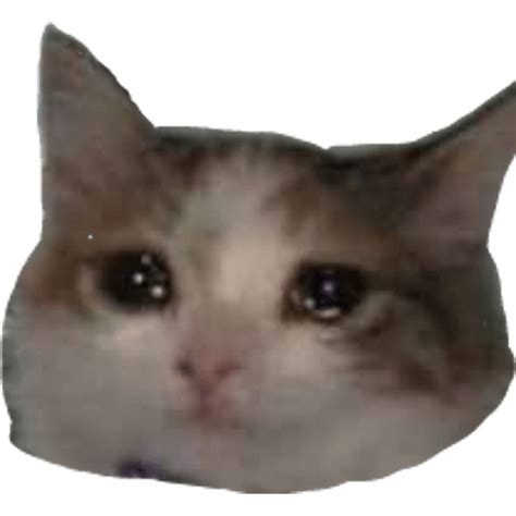 Gatitos Tristes