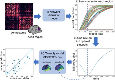 I The Network Diffusion Model Simulates Pathology Spread Through The Download Scientific
