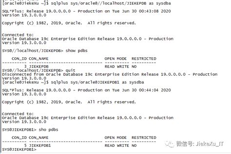 Oracle 19c 之多租户 Pdb 连接与访问（三） Csdn博客