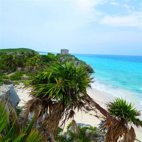 Punta Laguna Nature Reserve Tulum All You Need To Know Before You Go