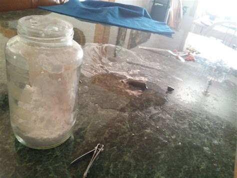 Me And My So Tried Trimming Our Hedgehogs Nails Hedgehog