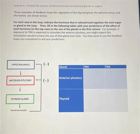 Solved Activity 4 Predict The Actions Of Three Hormones On