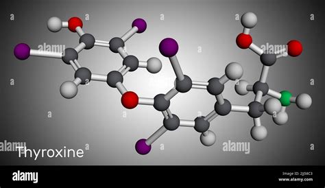 Thyroxine T4 Levothyroxine Molecule It Is Thyroid Hormone