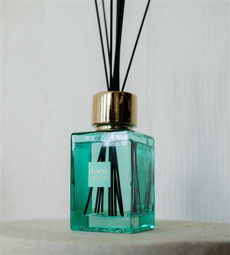 Sences Reed Diffusers Large And Extra Large Chloe Jade Home