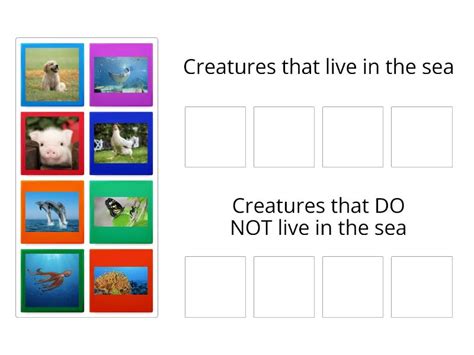 Classification Quiz Group Sort