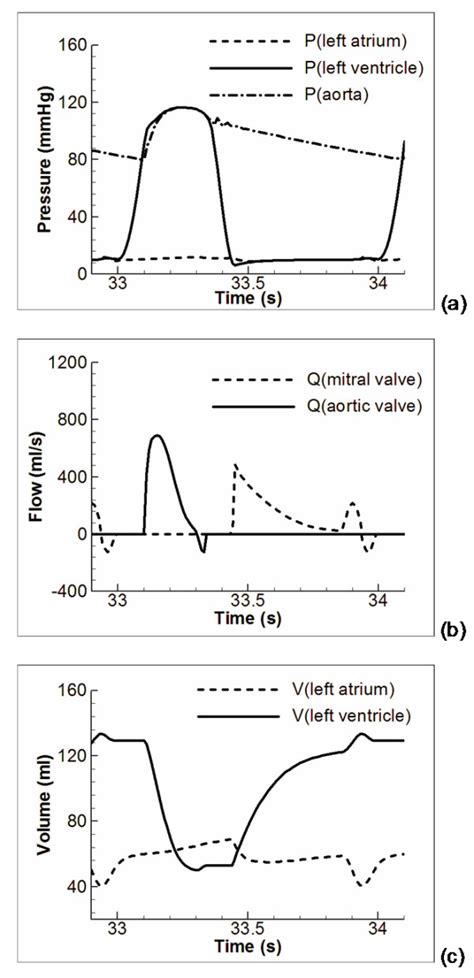 Sample Cardiovascular Response In The Systemic Loop In A Healthy Human