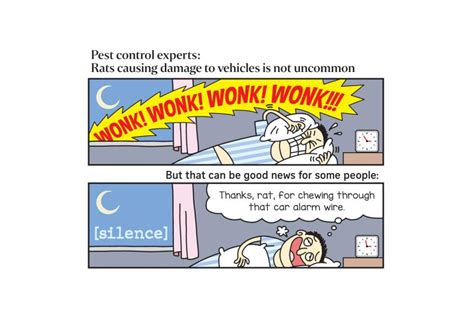 A Cartoonists View Lee Chee Chew Feb 4 2024 The Straits Times
