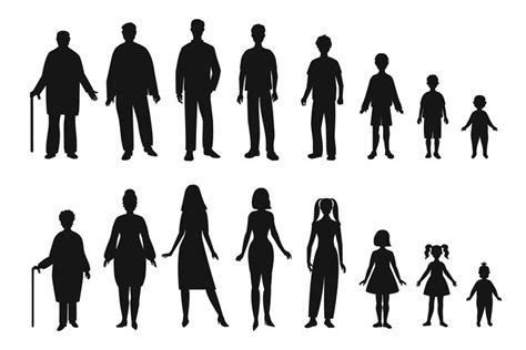 Human Reproduction Cycle