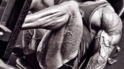 Halotestin Fluoxymesterone An Overview Steroid Cycles