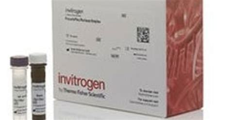 Invitrogen™ Apolipoprotein 5 Plex Human Procartaplex™ Panel