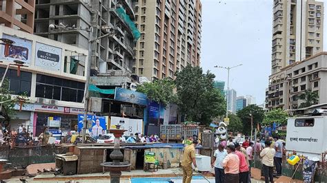 Mumbai Mns Opposes Relief For Kabootar Khanas Tells Bmc To Prioritise